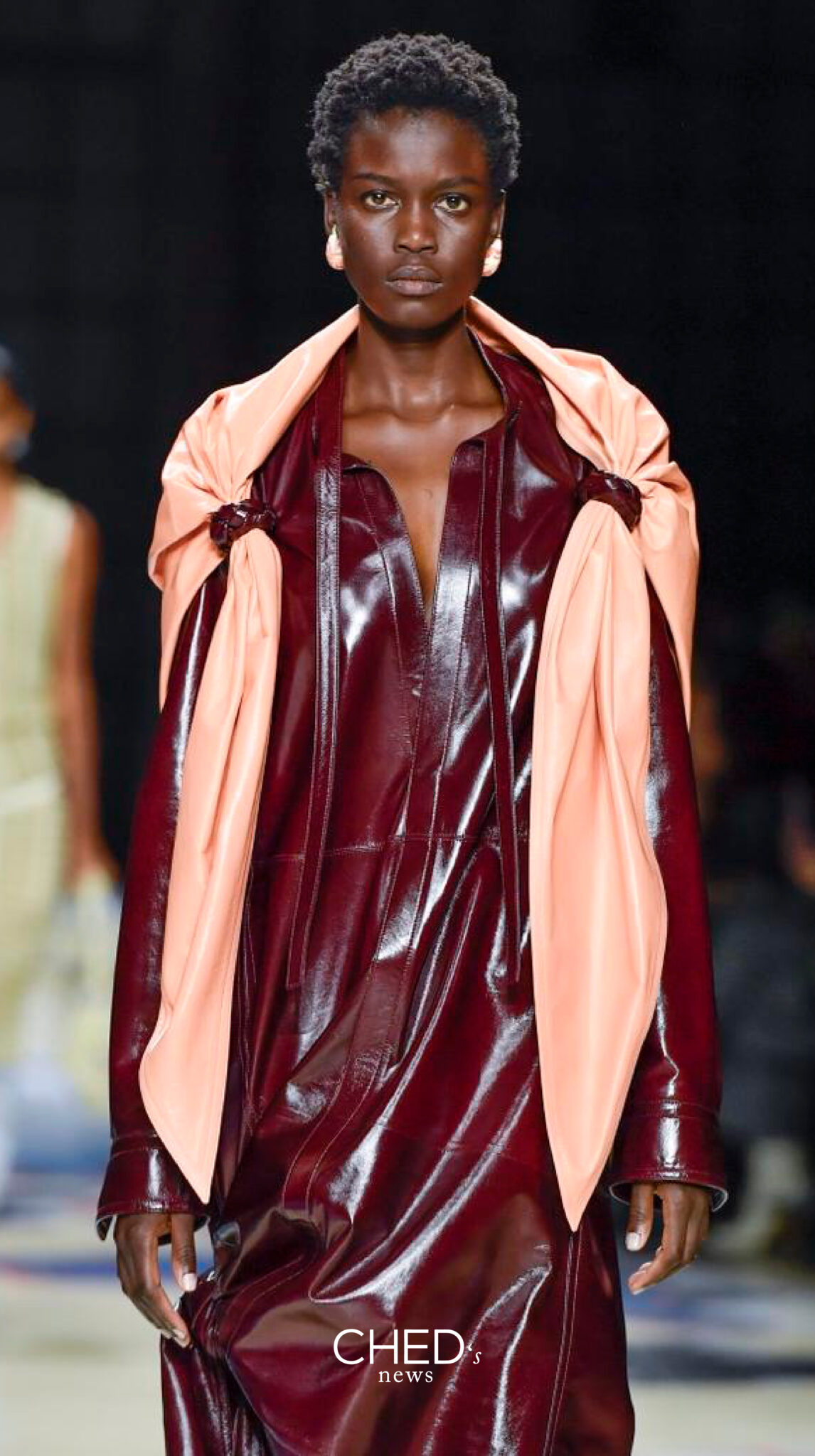 PEACH FUZZ: color 2024 🍑 | CHED